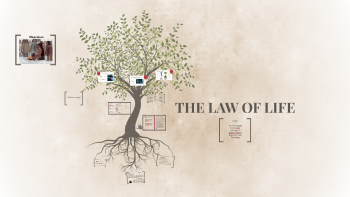 THE LAW OF LIFE by Rohini Lakhani on Prezi