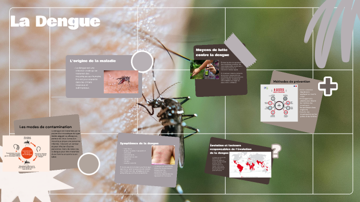 La Dengue by sarah marzouk on Prezi