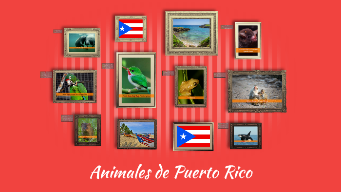 Animales de Puerto Rico by Leslie Guerra on Prezi