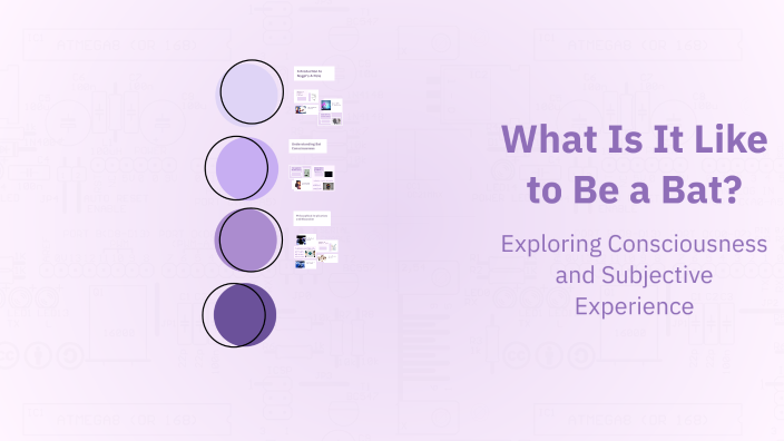 What Is It Like to Be a Bat? by Evelina Hagström on Prezi