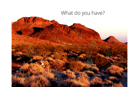 Guiding Principles by Janice Grabowski on Prezi