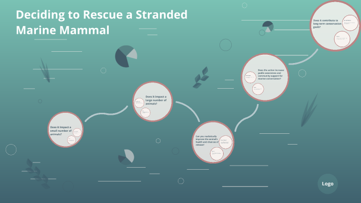 Deciding to Rescue a Stranded Marine Mammal by emily batchelor on Prezi