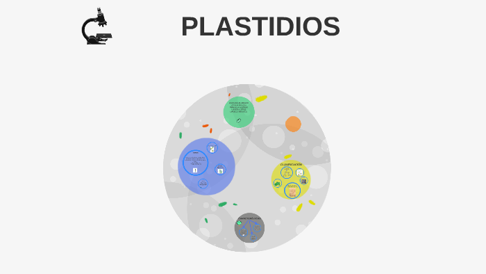 PLASTIDIOS by Daniela Riveros Duran on Prezi