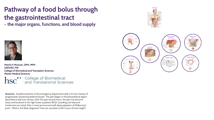GI tract by Patrick Moonan on Prezi