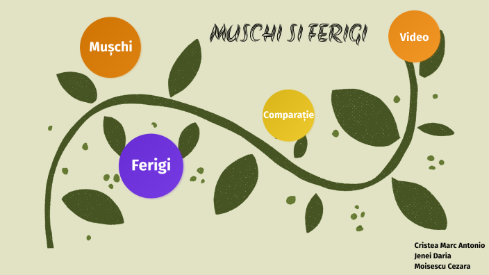 Muschi si ferigi by Cristea Toni on Prezi