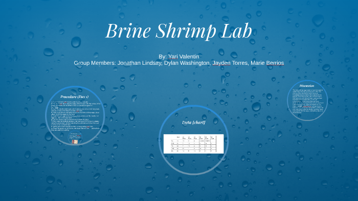 Brine Shrimp Lab by Yari Valentin on Prezi