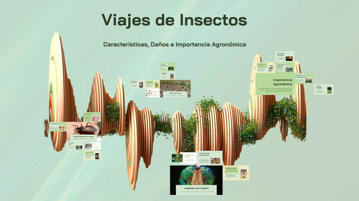 Viajes de Insectos by Edson Hernandez Ortega on Prezi