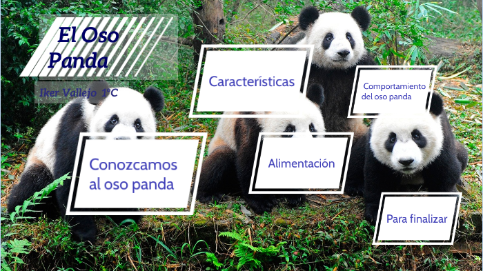 El Oso PaNDA by Iker Vallejo Felipe on Prezi