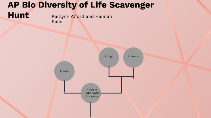 AP Bio Diversity of Life Scavenger Hunt by Hannah Ralls on Prezi