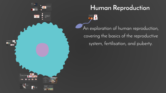 Understanding Human Reproduction for Kids by TeacherAkkarin on Prezi
