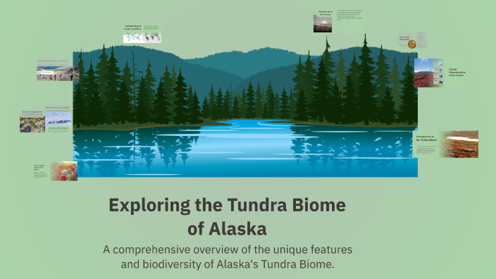 Exploring the Tundra Biome of Alaska by Ralphy Rivera on Prezi
