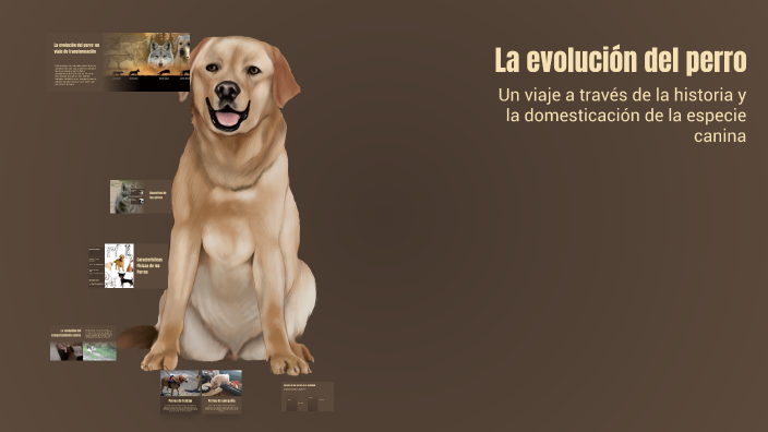 La evolución del perro by RG4 _JUANJOSE Canchala cordoba :v on Prezi