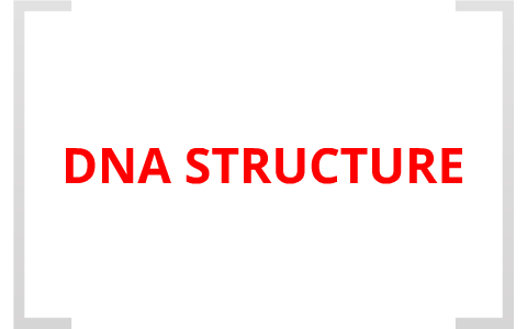 DNA STRUCTURE by Nikki Shoemaker on Prezi