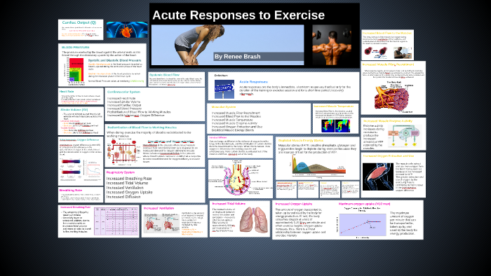 Acute Responses to Exercise by Renee B on Prezi