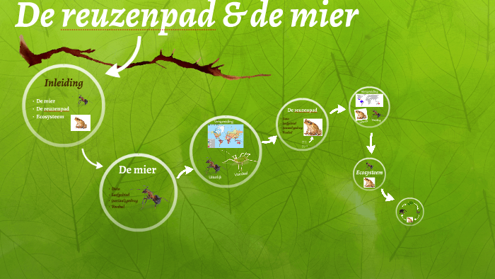 De reuzenpad en de mier by Fabiënne Rozendaal on Prezi
