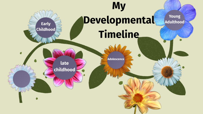 Developmental Timeline Presentation by Amanda Pham on Prezi