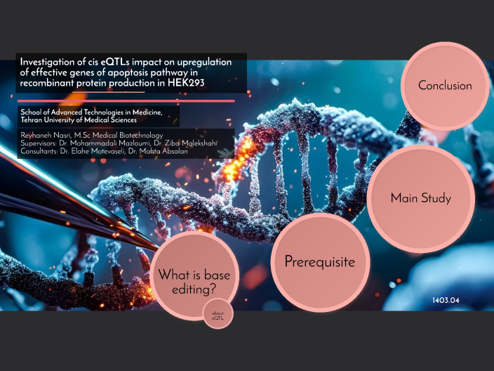 peto's paradox by reyhaneh nasri on Prezi