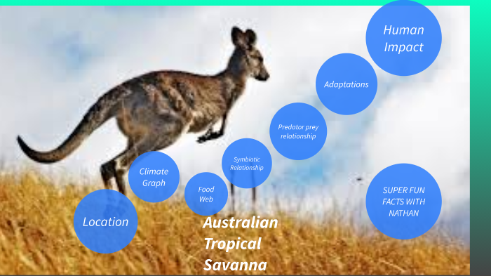 Australian Tropical Savanna by Nathan Dunworth on Prezi