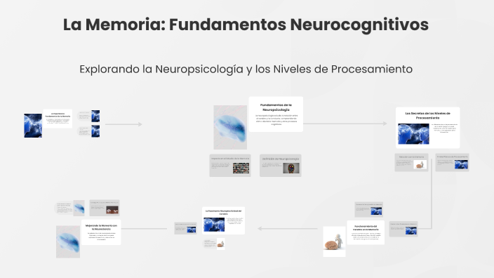 La Importancia De La Memoria By Eduarda Macías On Prezi