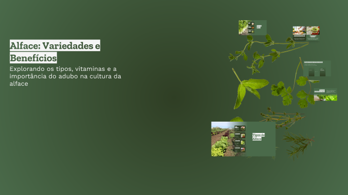 Alface: Variedades e Benefícios by ana julia on Prezi
