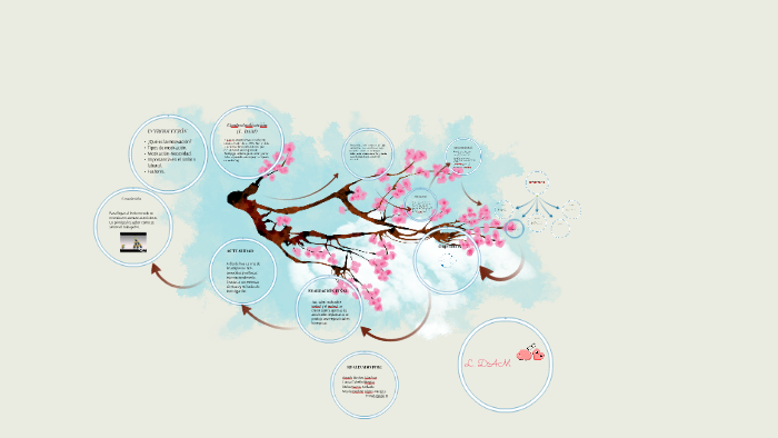 L. DAM by Dulce García Collado on Prezi