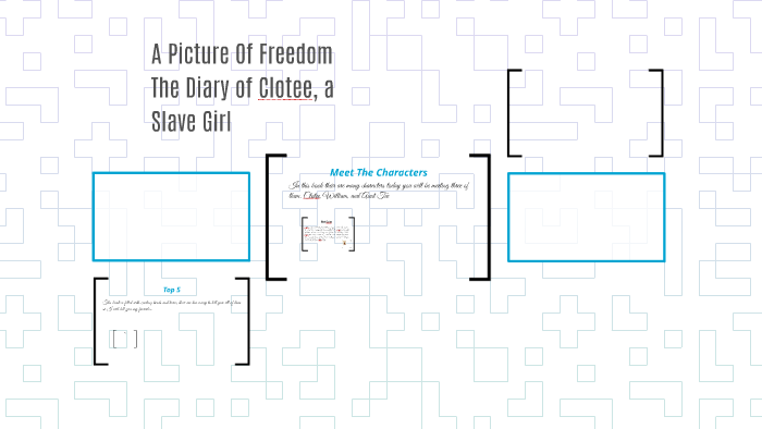 A Picture Of Freedom The Diary of Clotee, a Slave Girl by alyssa dugan ...
