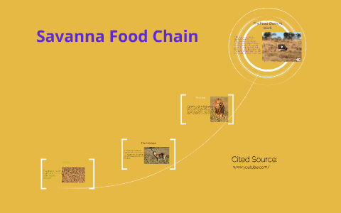 Savanna Food Chain by Norah Crouch on Prezi
