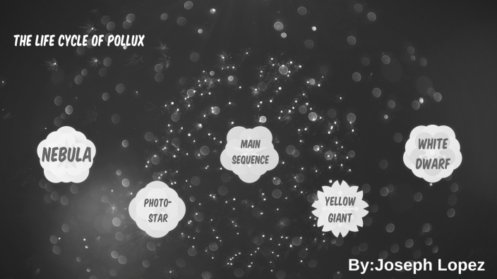 The Life Cycle of Pollux by Joseph Lopez on Prezi
