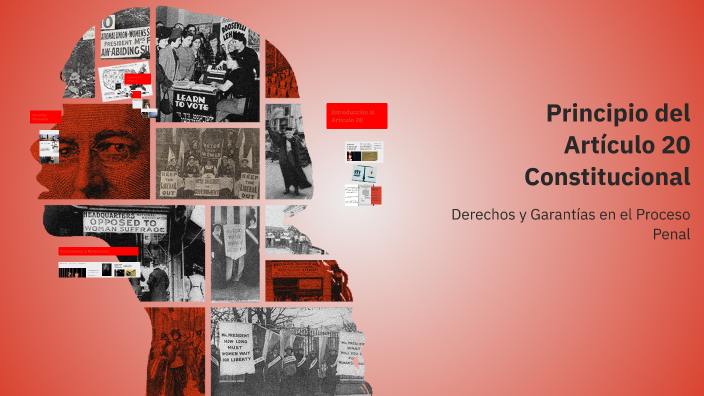 Principio del Artículo 20 Constitucional by Belen Peralta Rodriguez on ...