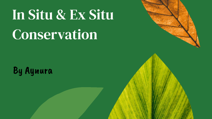 In Situ & Ex Situ Conservation by Aynura Pulatova on Prezi