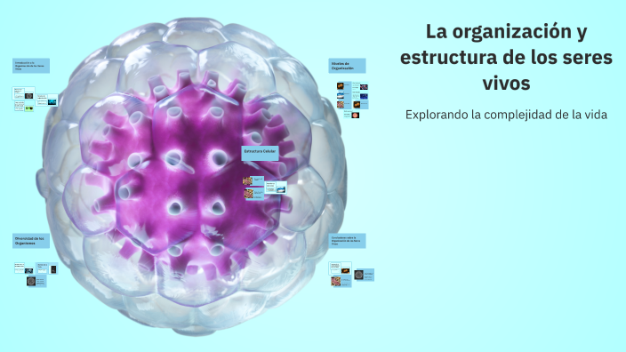 La organización y estructura de los seres vivos by Jesus Condezo on Prezi