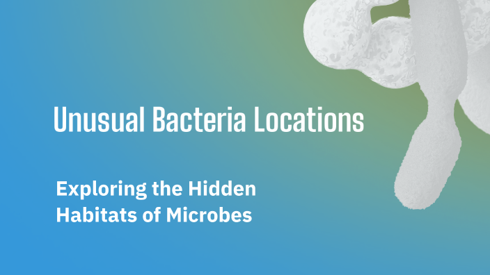 Unusual Bacteria Locations by Jood Ajlouni on Prezi