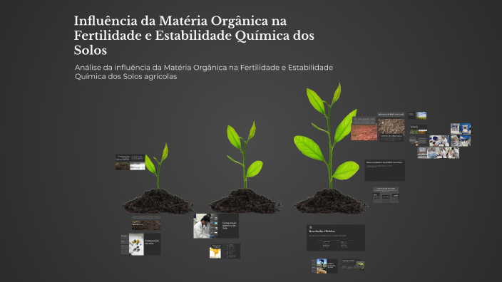 Influência da Matéria Orgânica na Fertilidade e Estabilidade Química ...