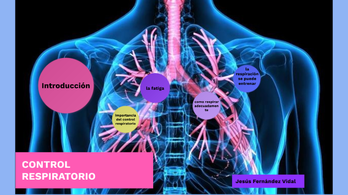 CONTROL RESPIRATORIO by Jesús Fernández on Prezi
