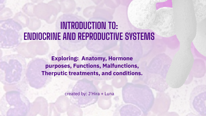 Understanding the Endocrine and Reproductive Systems by Sweetness on Prezi