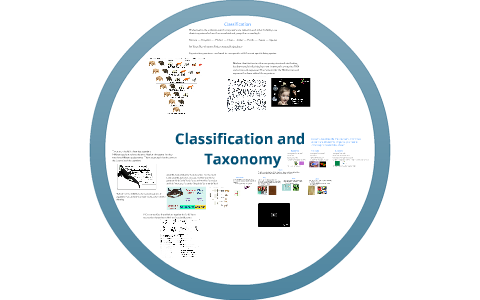 Classification and Taxonomy by Caitlin Hartman on Prezi