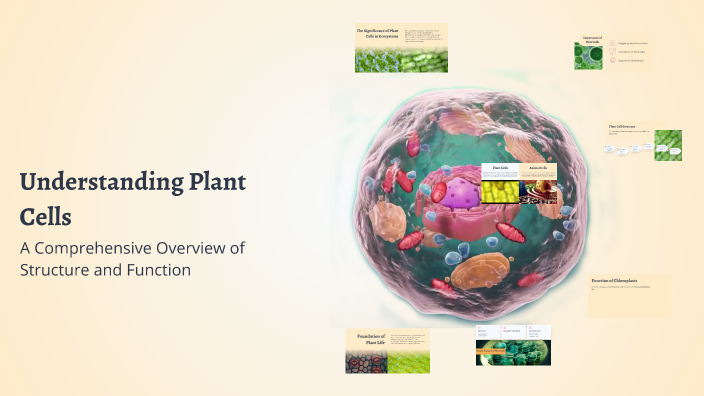 Understanding Plant Cells by Toff Solleza on Prezi