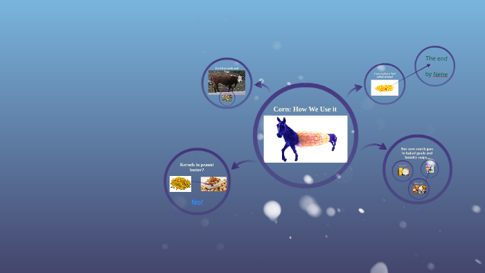 Corn: How We Use it by benjamin broadbent on Prezi