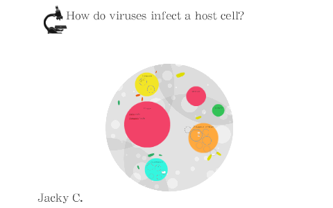 How and why do viruses infect host cells by Jacky Chan on Prezi