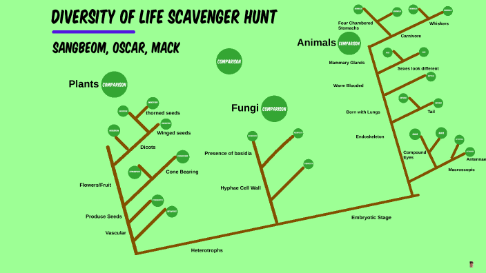 Diversity of Life Scavenger Hunt by SangBeom Lee on Prezi