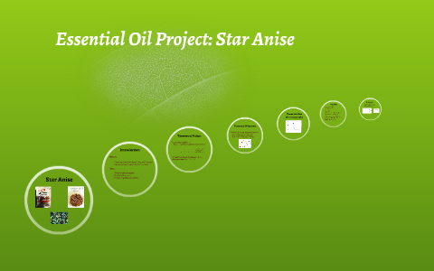 Essential Oil Project: Star Anise by Gloria Valencia