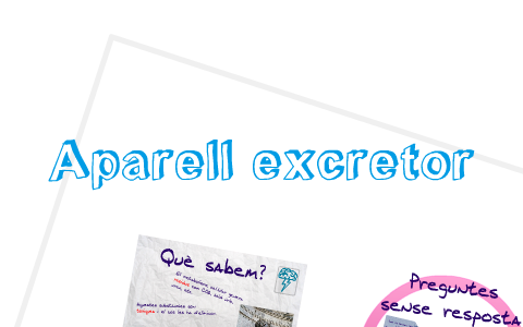 Aparell excretor by Julio Tena on Prezi