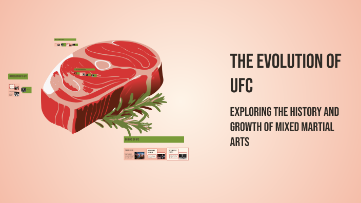 The Evolution of UFC by john john on Prezi