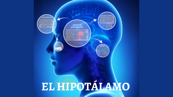 EL HIPOTÁLAMO by Felipe Maya on Prezi