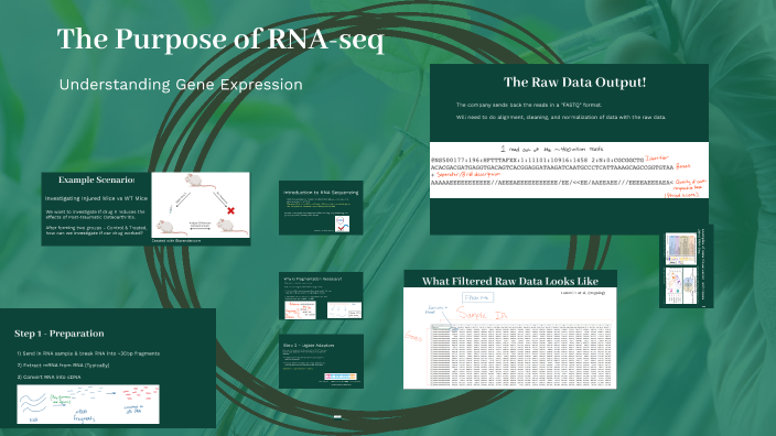 The Purpose of RNA-seq by Henry Dai on Prezi
