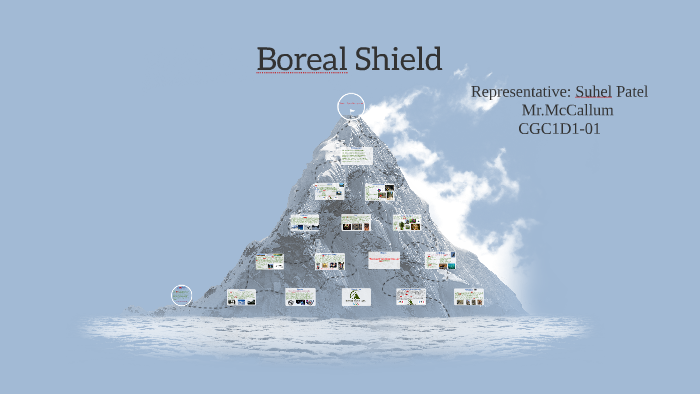 Boreal Shield by Suhel Patel on Prezi
