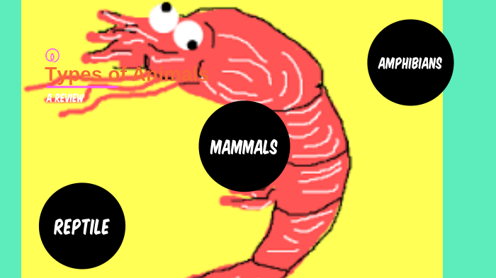 Types of Animals by James Couts on Prezi