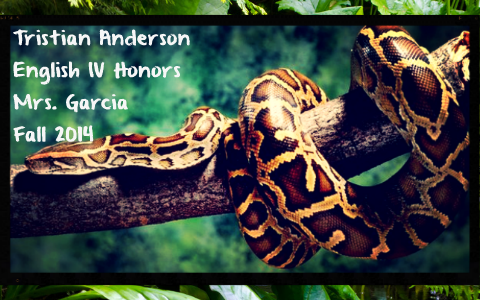 Burmese Pythons by Tristian Anderson on Prezi
