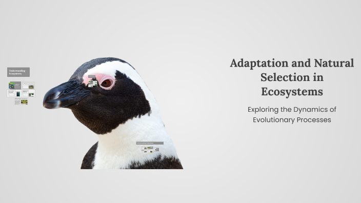 Adaptation and Natural Selection in Ecosystems by jared Acosta on Prezi