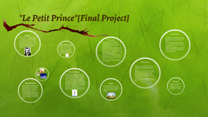 Le Petit Prince Final Project by Mike Bibay on Prezi